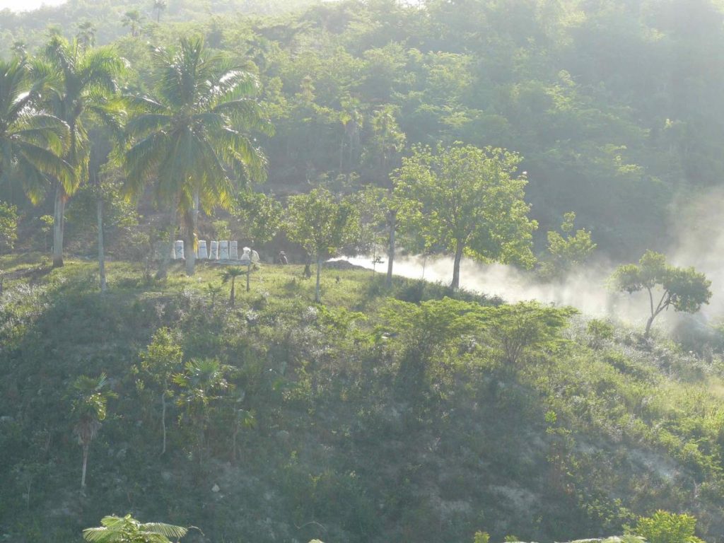 Farmer-led committees reduce climate risk for a half-million producers ...