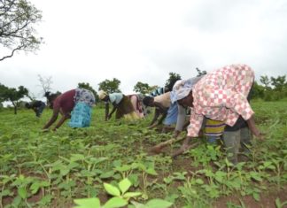 AgricToday | Building the Economy through Agriculture