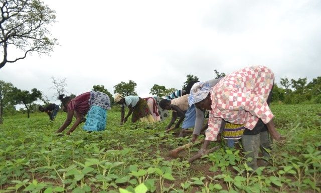 AgricToday | Building the Economy through Agriculture