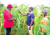 AgricToday | Building the Economy through Agriculture