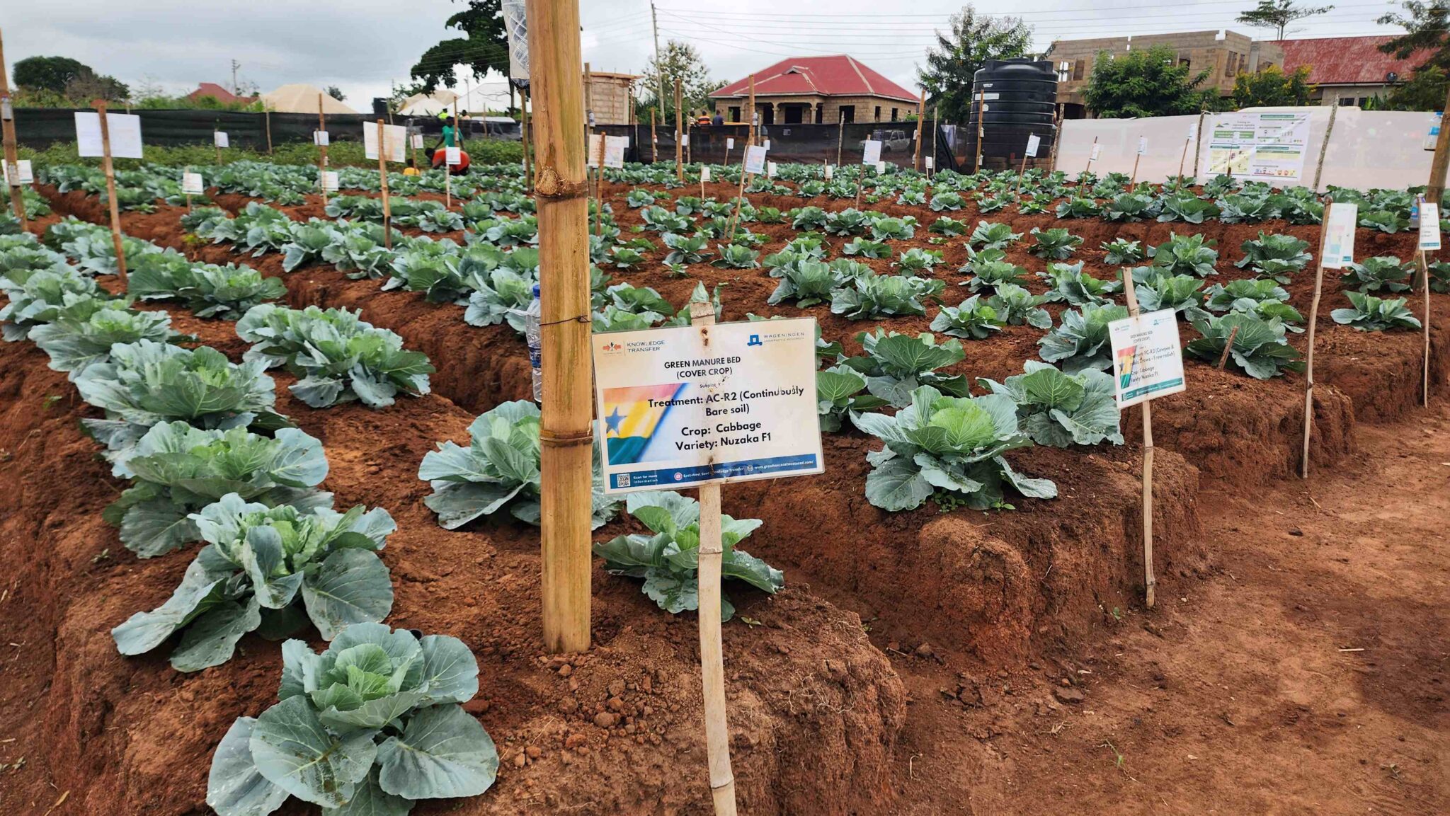 The East-West Seed Knowledge Transfer Foundation (EWS-KT) Centre in ...