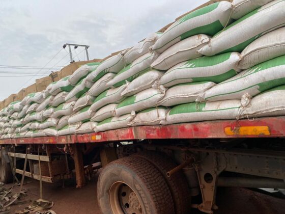 World Bank warns of 2026 fertiliser price surge, food cost risks for ...