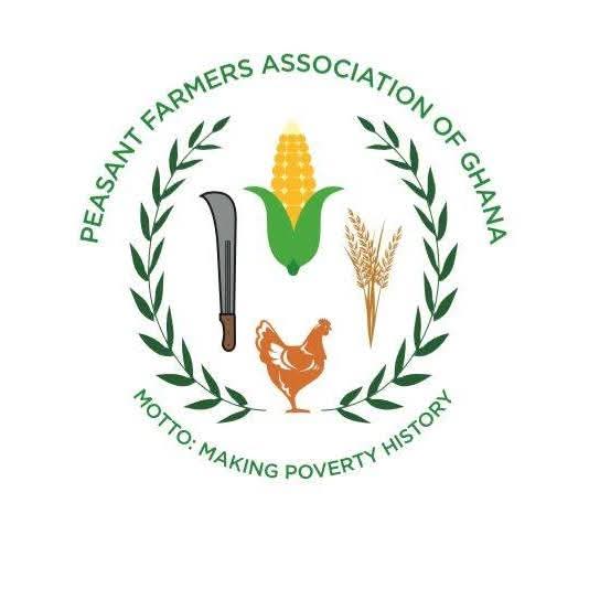 PFAG calls on government to suspend rice imports for a minimum of six ...